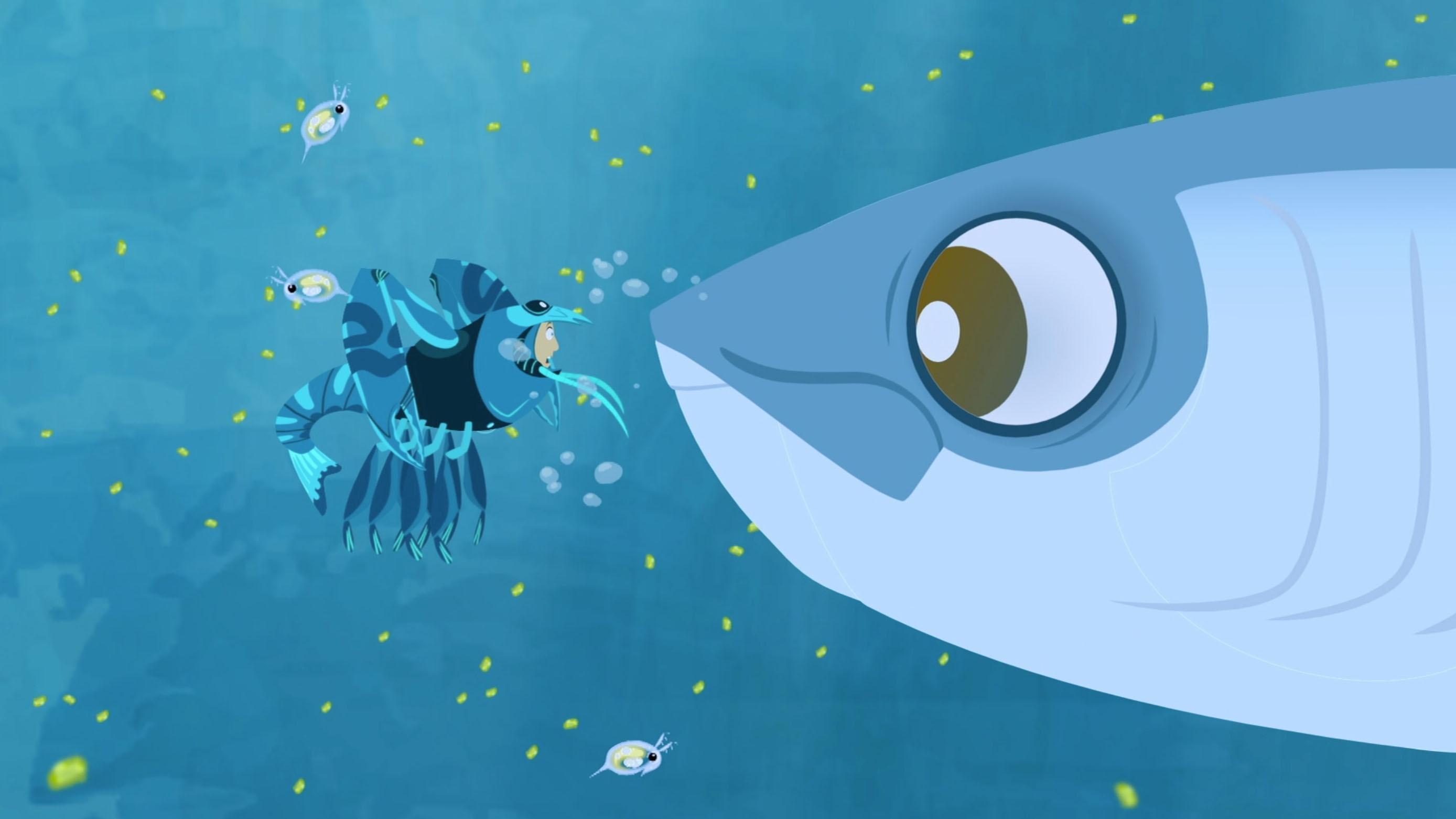 Wild Kratts - Full Episodes Video Collection | Videos | PBS KIDS