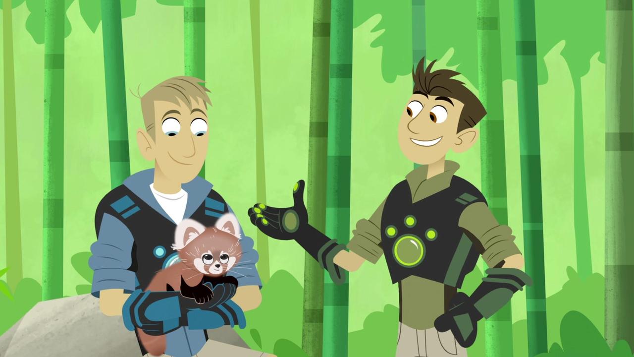 Wild Kratts - Full Episodes Video Collection | Videos | PBS KIDS