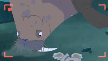 Wild Kratts | Videos | PBS KIDS