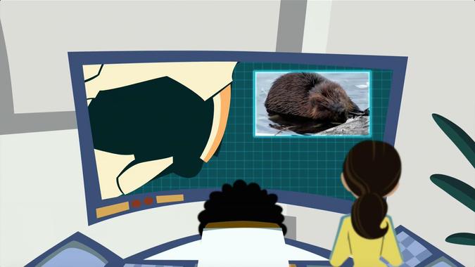 Wild Kratts - Beaver: Food and Health Video | PBS KIDS
