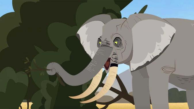 Wild Kratts - African Elephant: Food and Health Video | PBS KIDS