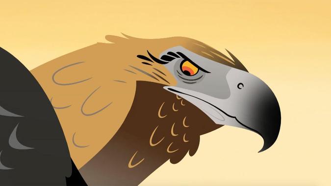 Wild Kratts - Kangaroo: Danger Alert Video | PBS KIDS