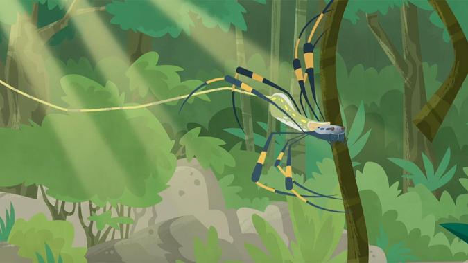 Wild Kratts - Golden Orb Weaver Spider: Creature Power Video | PBS KIDS