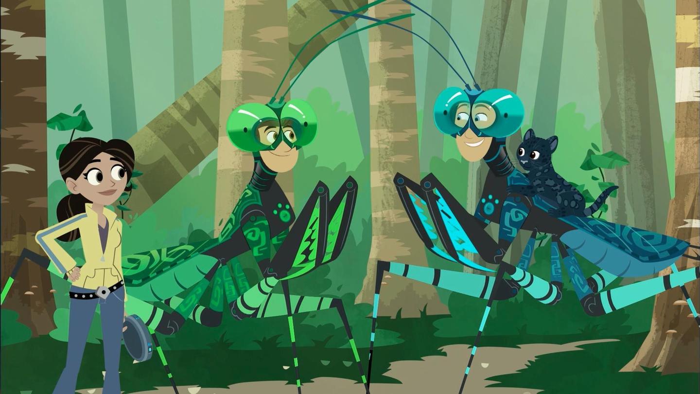 Wild Kratts - Full Episodes Video Collection | Videos | PBS KIDS