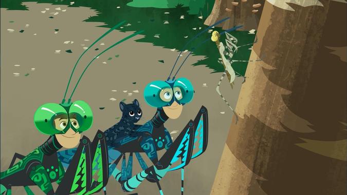 Wild Kratts - Creature Rescue! Video | PBS KIDS