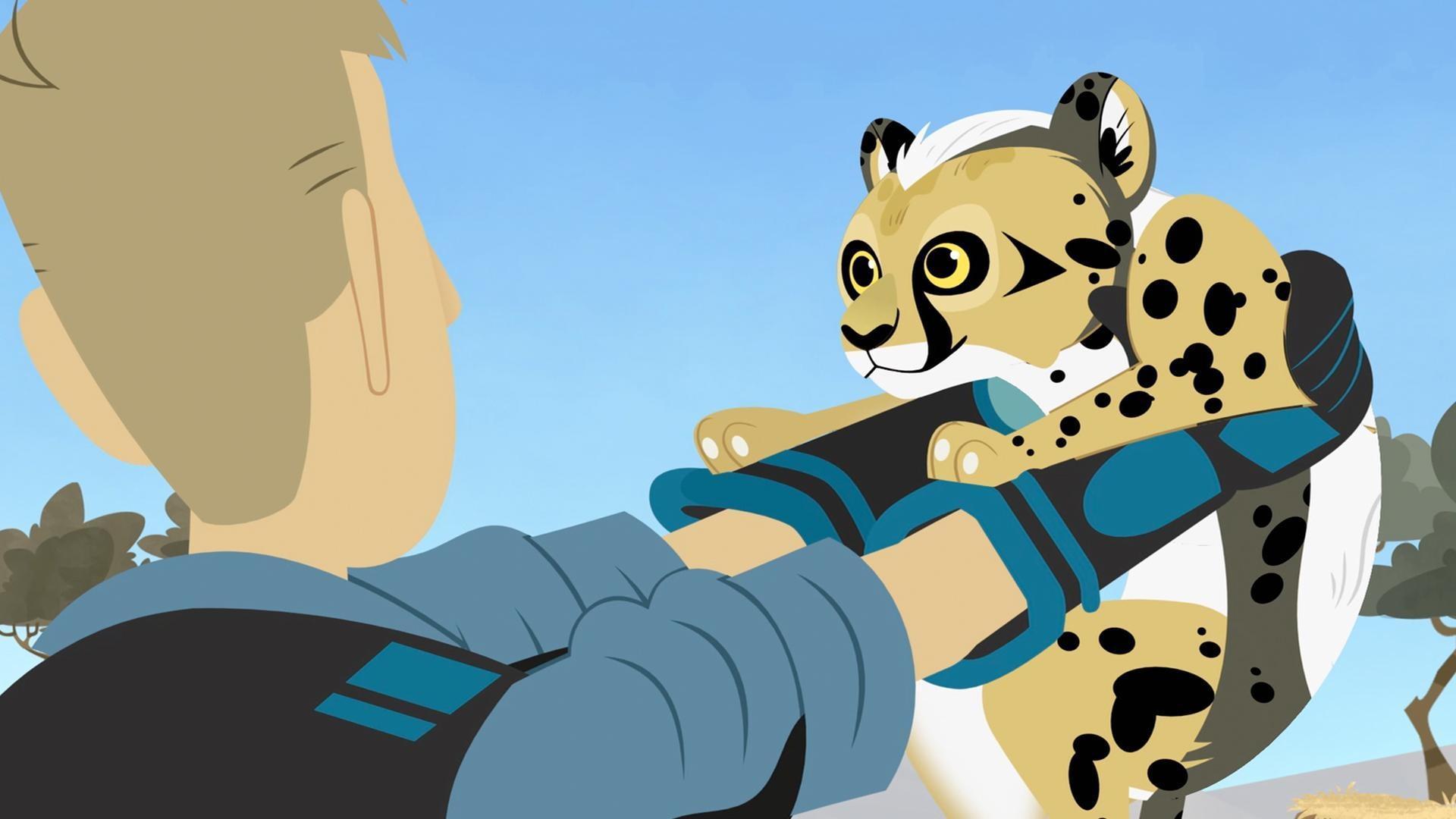 Wild Kratts - Full Episodes Video Collection | Videos | PBS KIDS