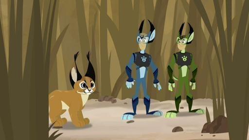 Watch Wild Kratts Videos | PBS KIDS