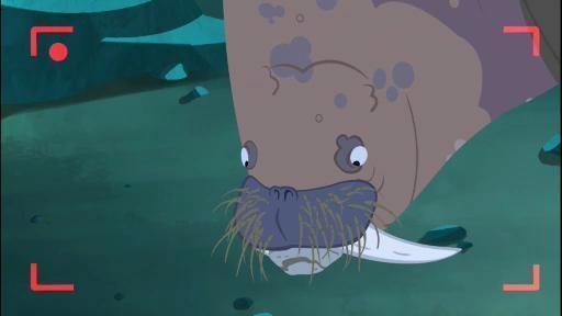 Watch Wild Kratts Videos | PBS KIDS