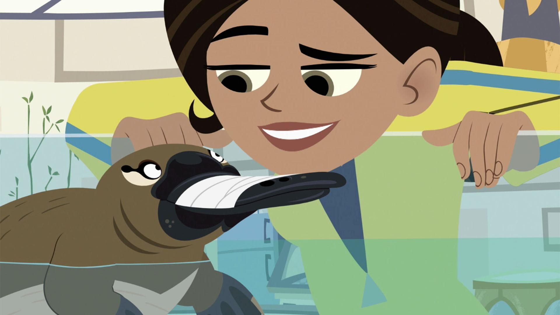 Wild Kratts - Full Episodes Video Collection | Videos | PBS KIDS
