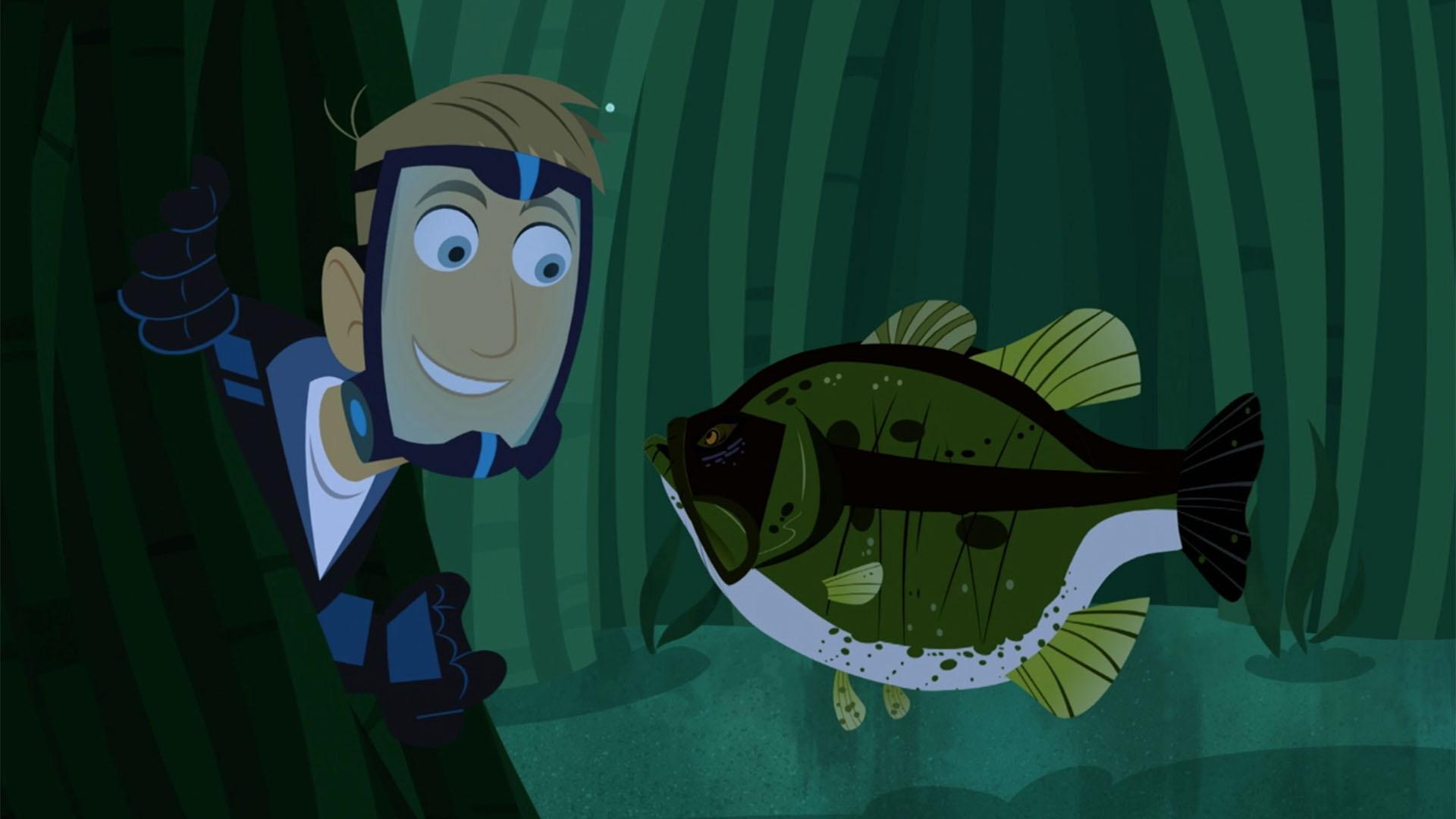 Watch Wild Kratts Videos | PBS KIDS