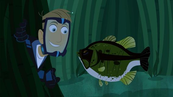 Watch Wild Kratts Videos | PBS KIDS
