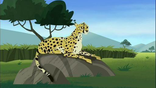 Wild Kratts - Racing the Cheetah Video | PBS KIDS