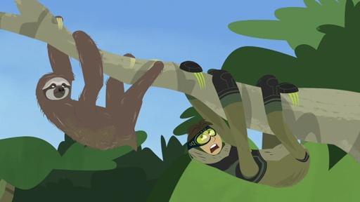 Watch Wild Kratts Videos | PBS KIDS