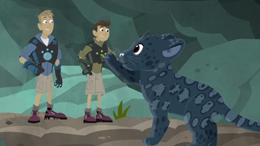 Wild Kratts - Full Episodes Video Collection | Videos | PBS KIDS