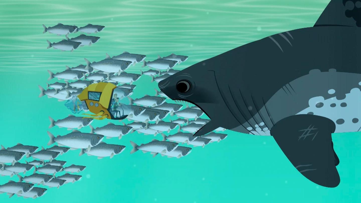 Wild Kratts - Fish Video Collection | Videos | PBS KIDS