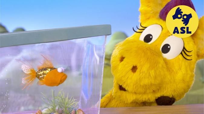 Donkey Hodie - Me, Myself, and Donkey/Fashion Donkey (ASL) Video | PBS KIDS