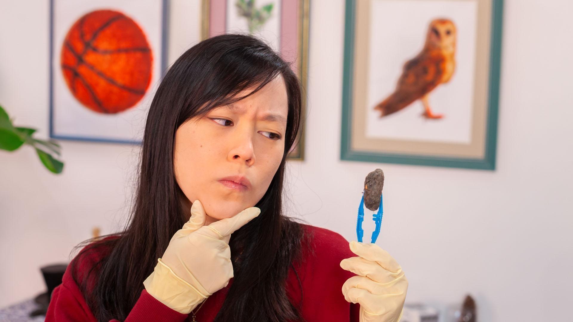 Watch Mega Wow Videos | PBS KIDS