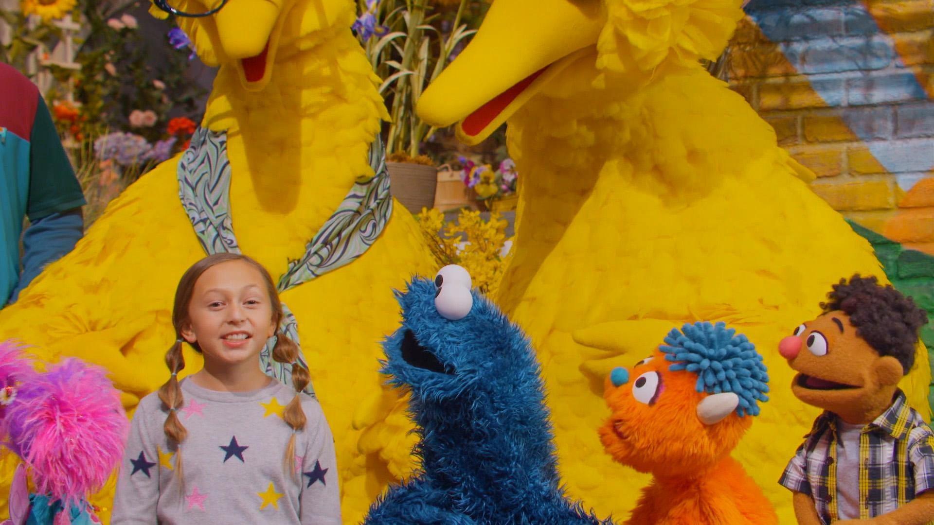Sesame Street - Abby Cadabby & Friends Video Collection | Videos | PBS KIDS