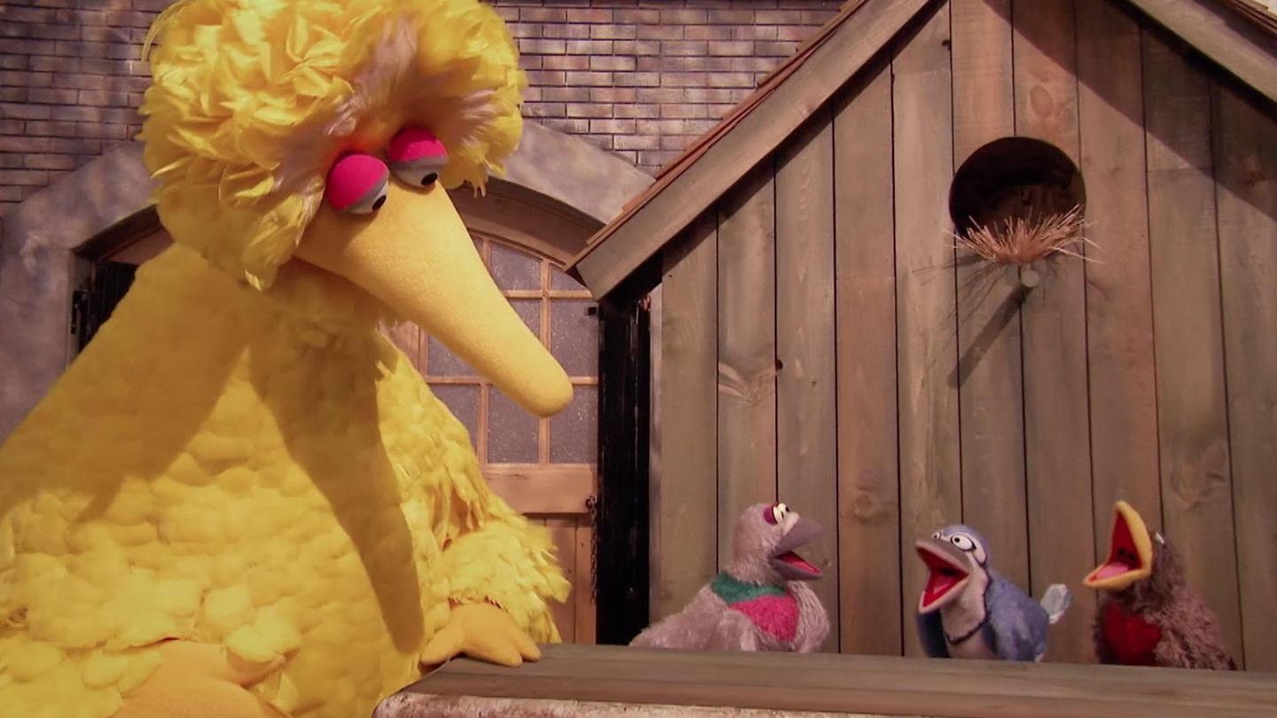 Sesame Street | Videos | PBS KIDS