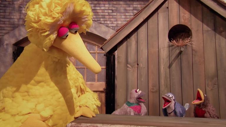 Sesame Street | Videos | PBS KIDS