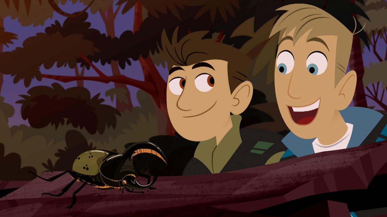 Wild Kratts - Full Episodes Video Collection | Videos | PBS KIDS