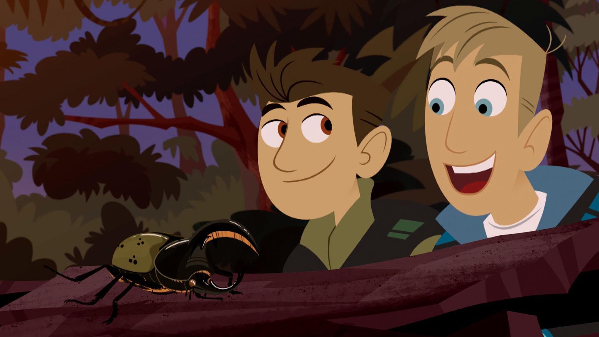 Wild Kratts - Full Episodes Video Collection | Videos | PBS KIDS