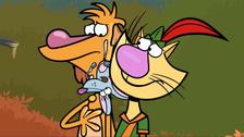Nature Cat - Full Episodes Video Collection | Videos | PBS KIDS