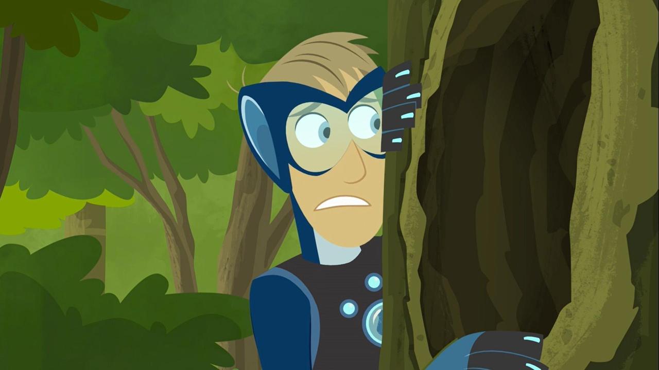 Watch Wild Kratts Videos | PBS KIDS