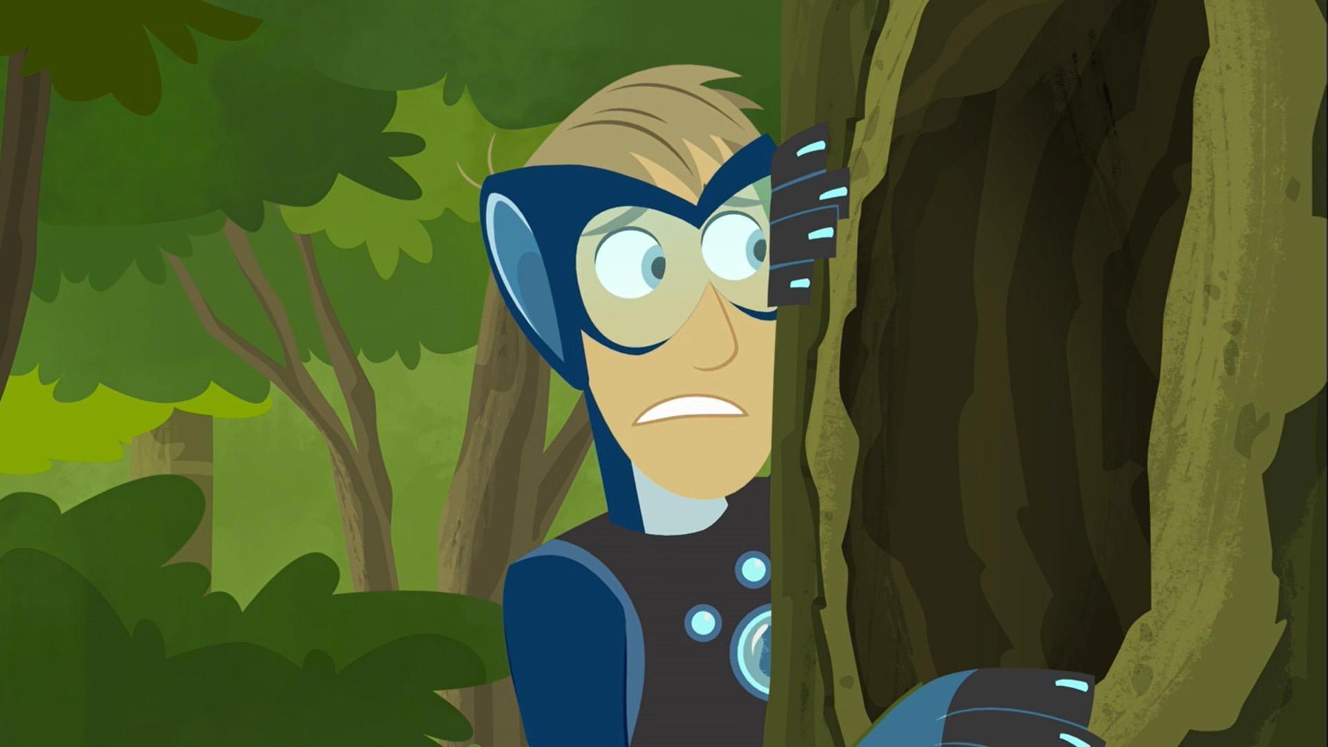 Watch Wild Kratts Videos | PBS KIDS